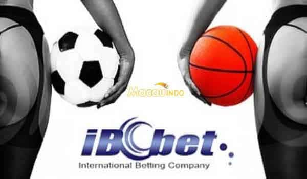 Agen IBCBET Terpercaya & Situs Link Alternatif Daftar IBCBET